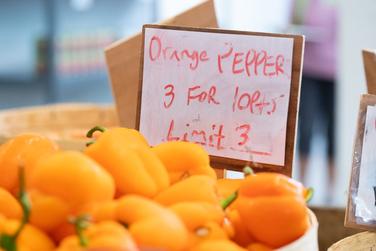 Accessing a Food Bank for the First Time: What You Need to Know • Daily ...