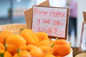 Accessing a Food Bank for the First Time: What You Need to Know | Blog ...