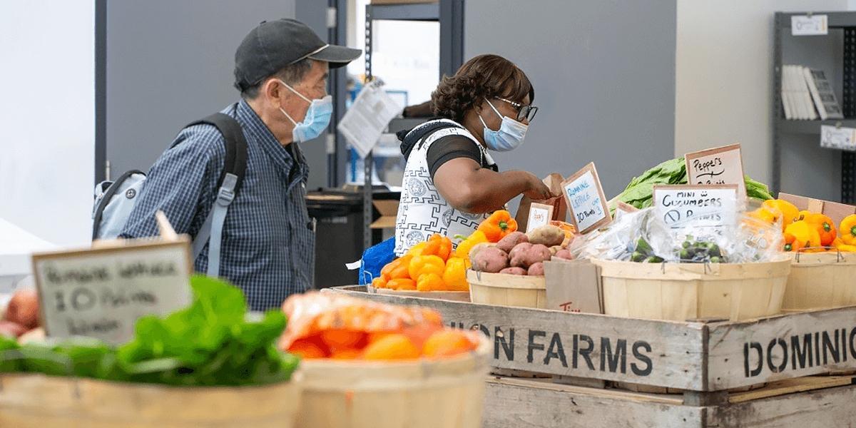 Our Impact | Daily Bread